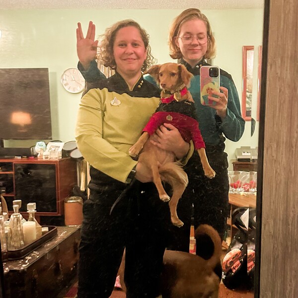 Movable Fursuit Tail Waggle Tail Swing Tail Fox Tail Blacktail Wolf ...