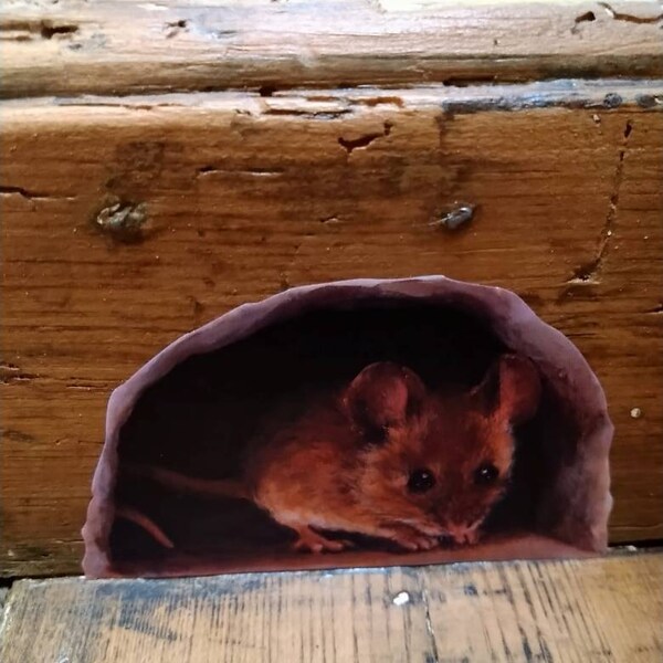 Mouse Hole Wall Sticker / Decal for the Skirting Board, Mini Mural - Etsy