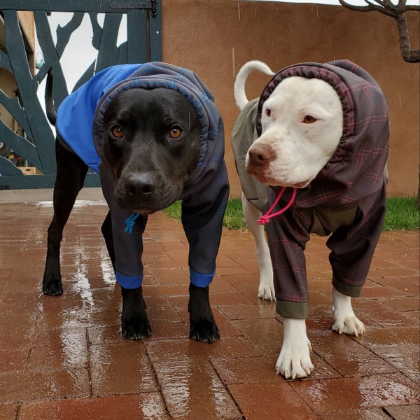 Beaded Fish Earrings, Sockeye Salmon Earrings, Rainbow Trout Earrings ...
