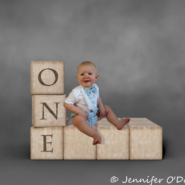 First Birthday Digital Backdrop, One Year Digital Background, 12 Months ...