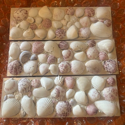 Coastal Decor, Shell Tiles, Fireplace Tiles, Sea Shells, Decorative ...