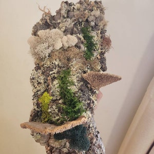 Floating Forest Art Gift, Moss on Cork Bark Natural Wall Decor ...