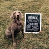 PRINTABLE Announcing Baby Guard Dog Duty Chalkboard Pregnancy ...