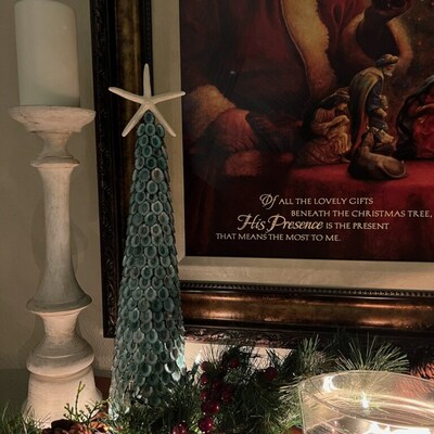 Polished Jade Turbo Shell Large Polished Trochus Polished White Shell ...