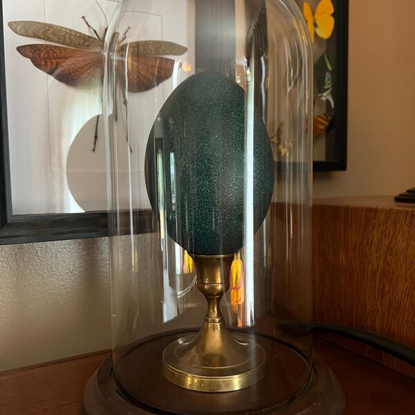 Set of Two Baby Blue Plastic Cups - Plastic Mugs Set of Two - Cups for ...