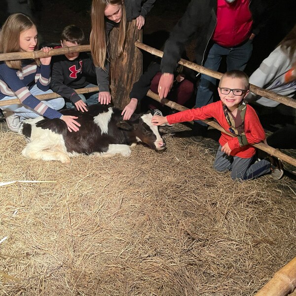 Zebra Animal Print Arm Sling Collar and Cuff Adult and Child Sizes Kids ...