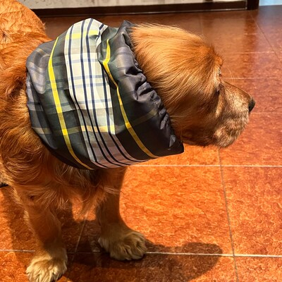 Waterproof Thick Dog Snood Swimming Cap for Dog Dog Hat - Etsy