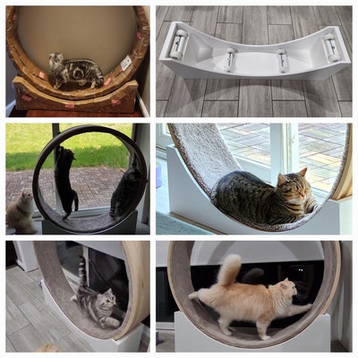 Cat Wheel Cat Toy Exercise Wheel Cute Cat Furniture Circular Treadmill ...
