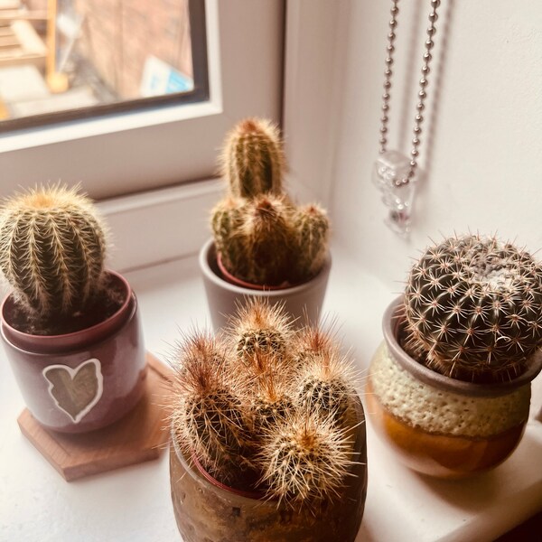 Navy Blue Chiffon Chair Drapes With Silver Ring for Hire. - Etsy UK