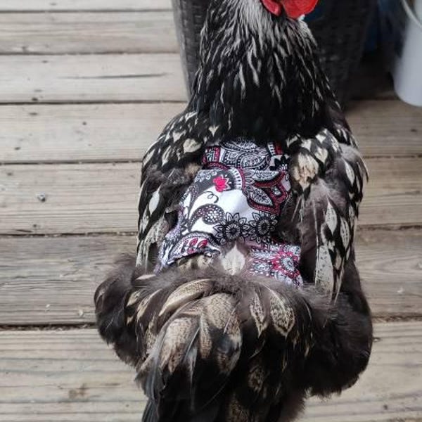 Chicken Diapers/ Hen Diapers/ Birds Diapers/rooster Diaper - Etsy