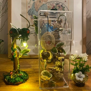 Jumping Spider Sign Post Spooder Lives Here, Spider Hideout Accessories ...