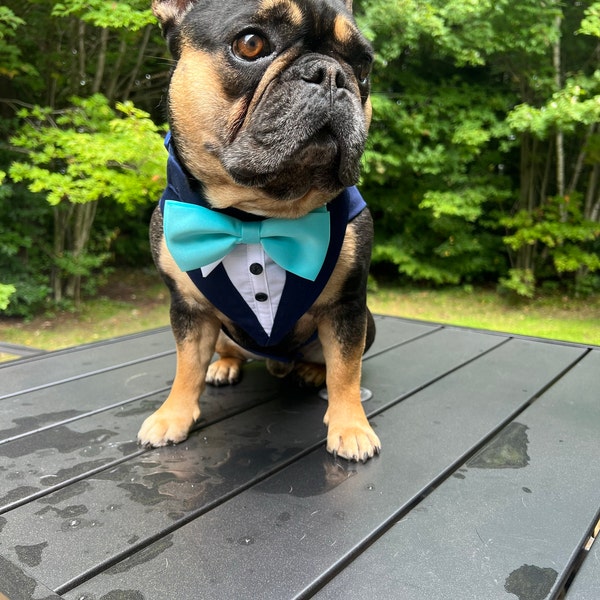 Wedding Tuxedo for Dogs, Formal Dog Tuxedo, Custom Made Dog Suit , Bow ...