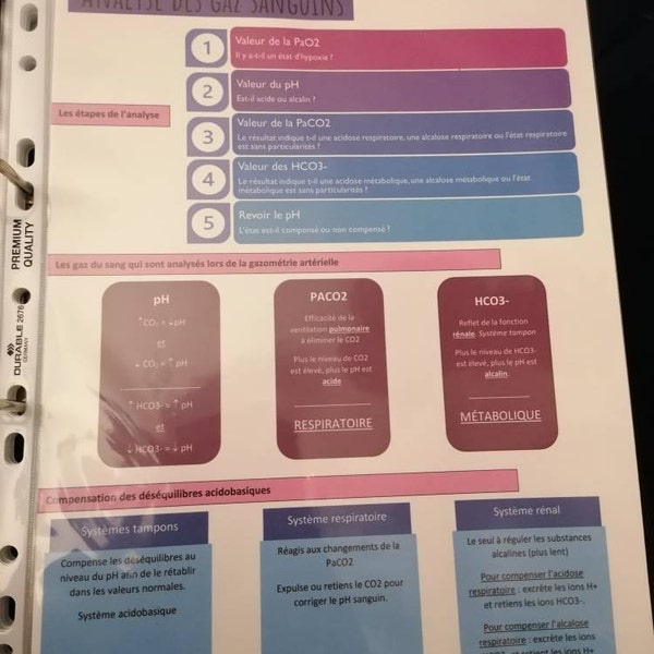 EN Lung Auscultation and Oxygen Therapy, Nursing Reference Cards ...