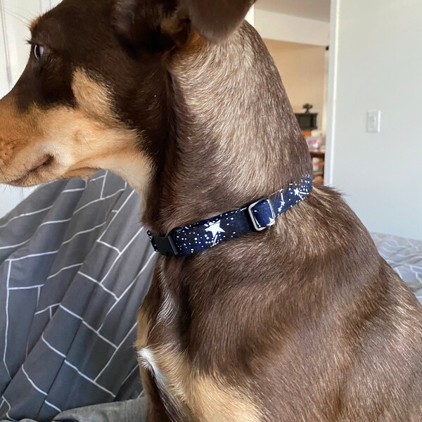 Dog Collar, Big Dipper, Stars, Constellations, Key Fob, Keychain, Glow ...