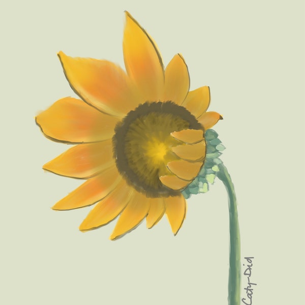 Candy Cake Procreate Color Palette, HEX Codes, Color Palette, Procreate ...