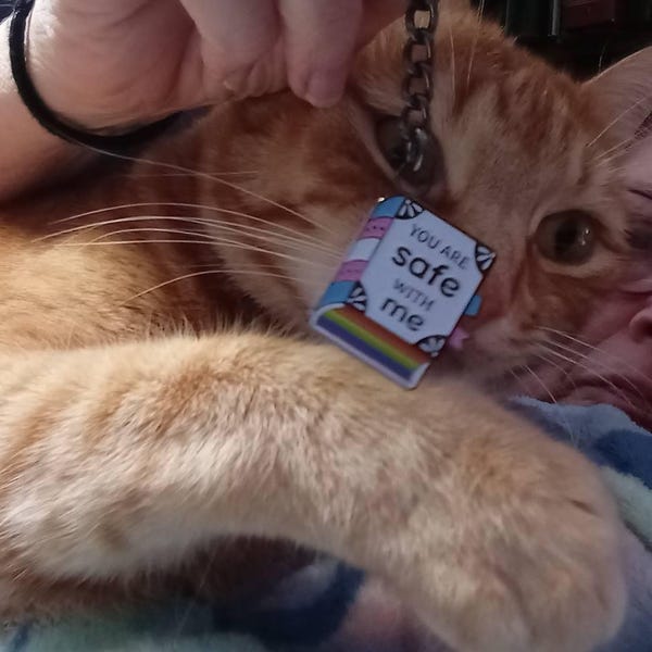 You Are Safe With Me Enamel Pin Pride Etsy