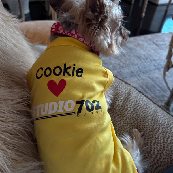 Customizable Pet Shirt: Create a Unique Look for Your Pet Personalized ...