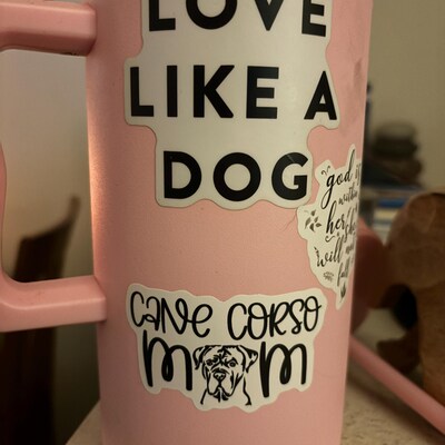 Rise and Slay Sticker, Rainbow Sticker, Inspirational Quote Sticker ...