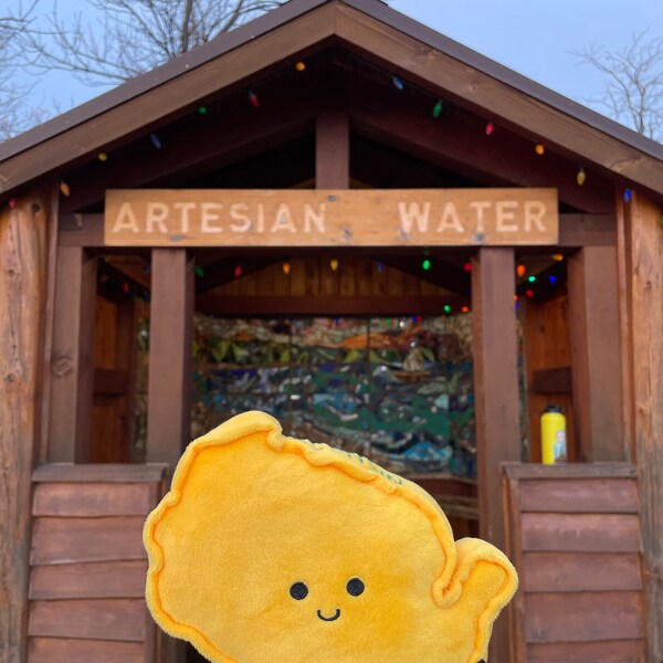 North Carolina State Stuffed Plush, Gift for Her, Dorm Decor ...