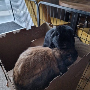 The Castle Corrugated Cardboard Castle for Bunny Rabbits & Cats - Etsy UK