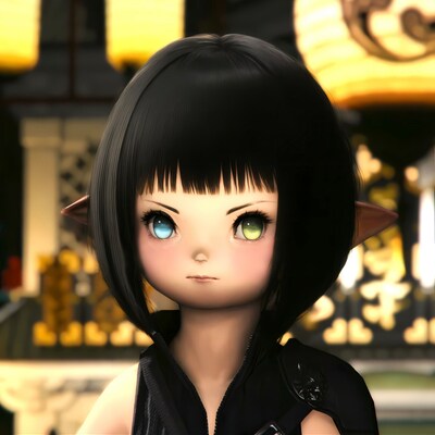 Final Fantasy XIV Static Portrait Commission - Etsy