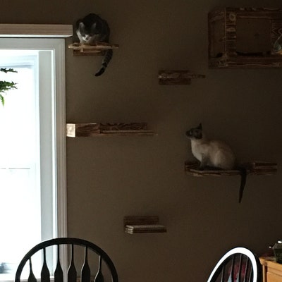 Cat Paw Steps set of 3 - Etsy