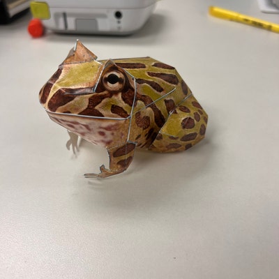 HORNED FROG / 3D Papercraft / Frog Paper Sculpture / Frog Statue / Frog ...