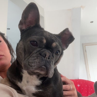 Personalised Disposable Camera Wedding Sign Grab a Camera - Etsy