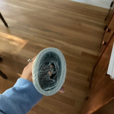 Removable Spring Bee Pattern Wallpaper in Midnight Black Peel and Stick ...