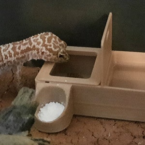 3.0 Geckopia Triple Dish Leopard Gecko Dish Reptile Dish Gecko Dish ...