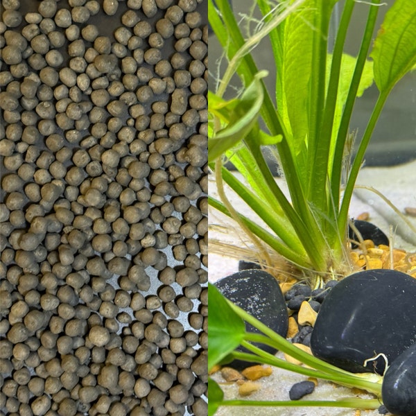 Complete Closed Terrarium Kit With Live Plants and Live Moss, Bioactive ...