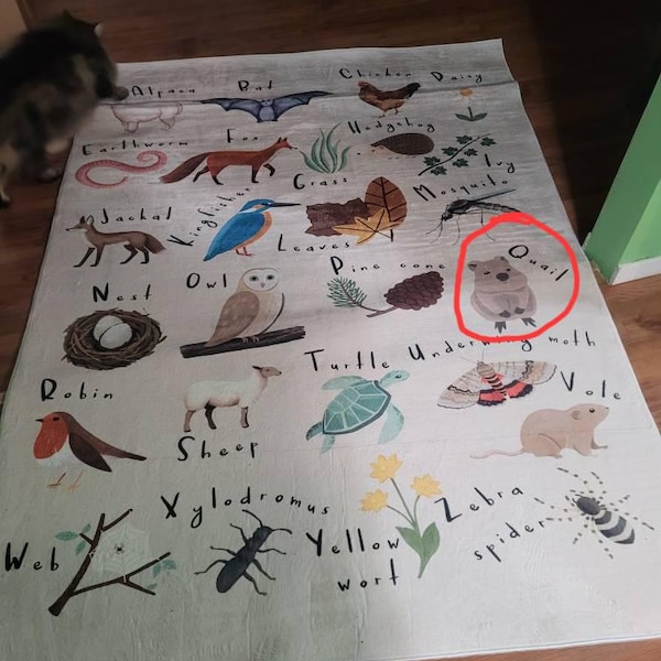 Woodland Animal Learning Rug - Alphabet Forest Design Mat - Nursery ...