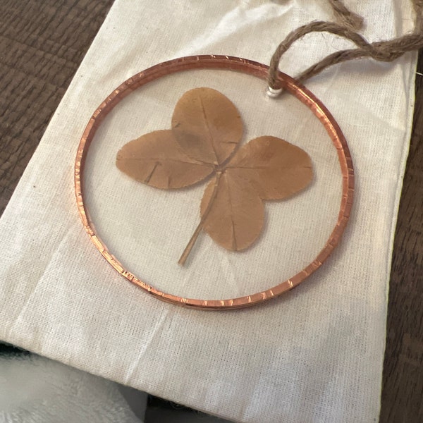 Pressed FIVE Leaf Clover Pack (not Perfect Clovers), Real Clovers for ...
