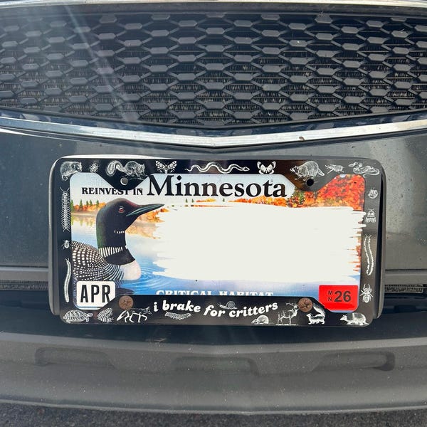 Insects License Plate Frame - Entomology Entomologist Car Truck Gift ...