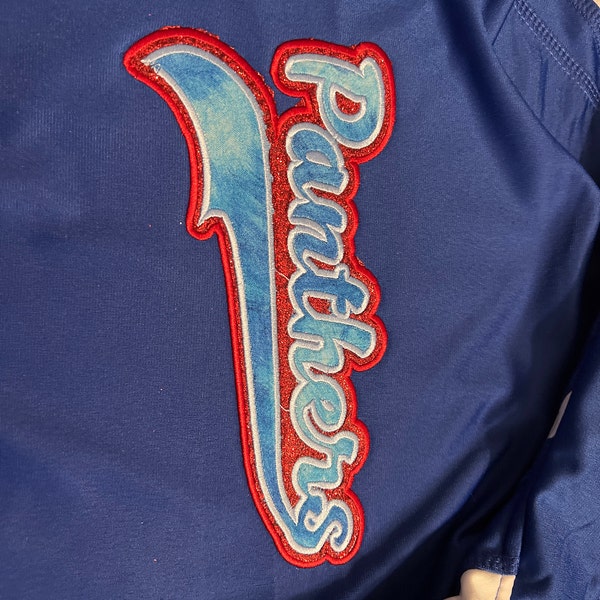 Double Applique Panthers Machine Embroidery Design - 4 Sizes - Instant ...