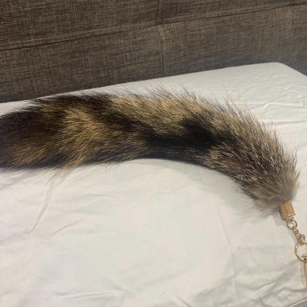 Tanuki Skull - Etsy Australia