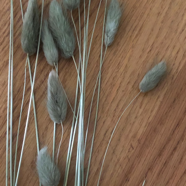 Wildflowers Dried Flowers Natural No Dyed, No Preservatives Naturally ...