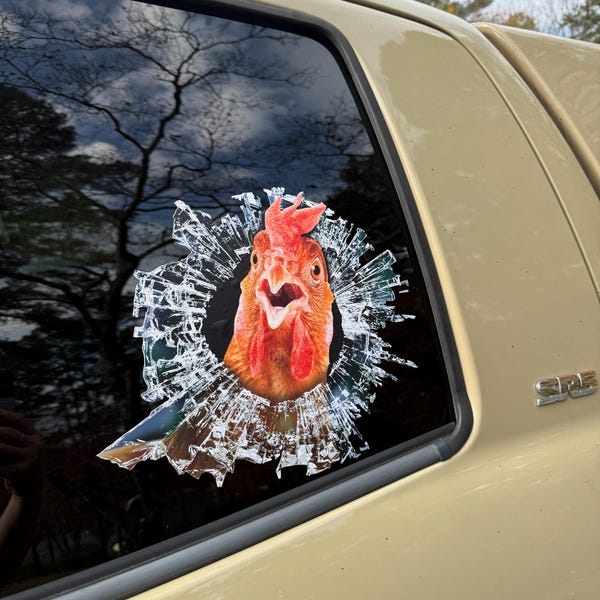 Chicken Window Decal, Chicken Car Decal, Funny Chicken Sticker - Etsy