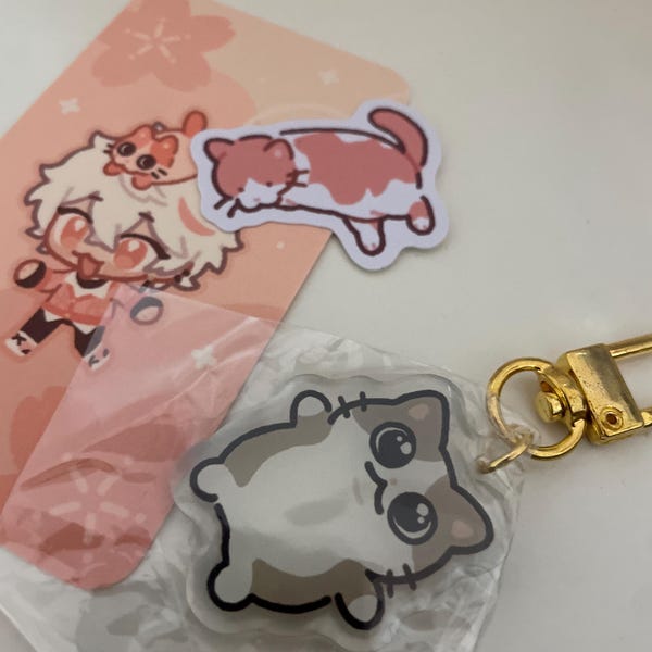 Cat Meme Keychain Double-sided Acrylic Charm - Etsy