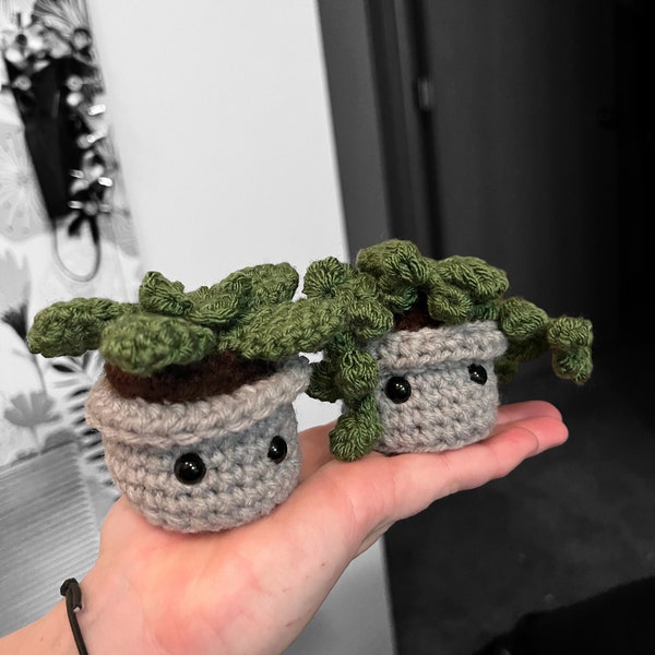 Mini Hanging Succulents Crochet Pattern - Etsy