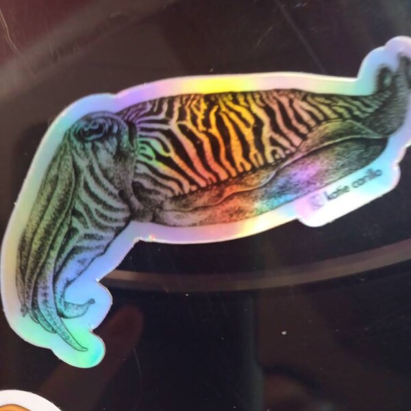 Roly Poly Vinyl Sticker - Etsy