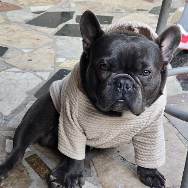 French Bulldog, French Bulldog Clothes, French Bulldog Hoodie, Beige ...