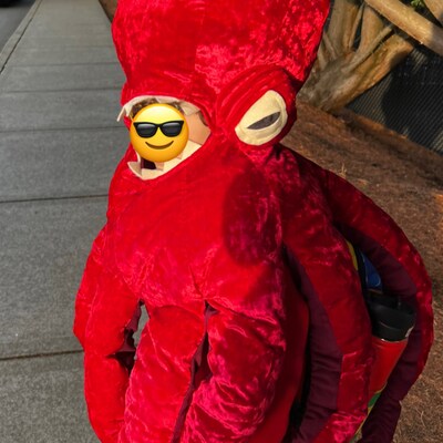 DIY Felt Hand Stitching Kit House Hippo - Etsy