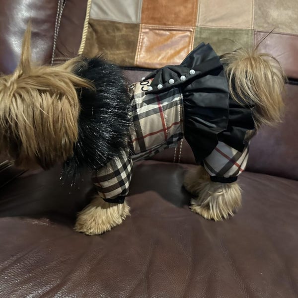 Dog Jumpsuit, Cute Yorkie Girl Outfit, Designer Small Dog Clothes ...