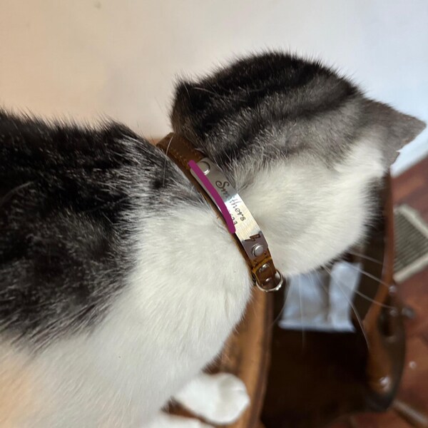 Leather Cat Collar With Name, Personalized Cat Collar, Engraved Custom ...
