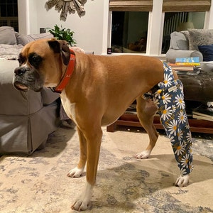 Rear Leg Protection Sleeve for Cats - Etsy