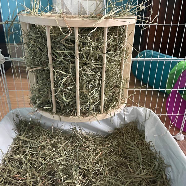 Hay Feeder for Rabbits, Hay Feeder for Bunnies, Rabbit Hay Feeder ...
