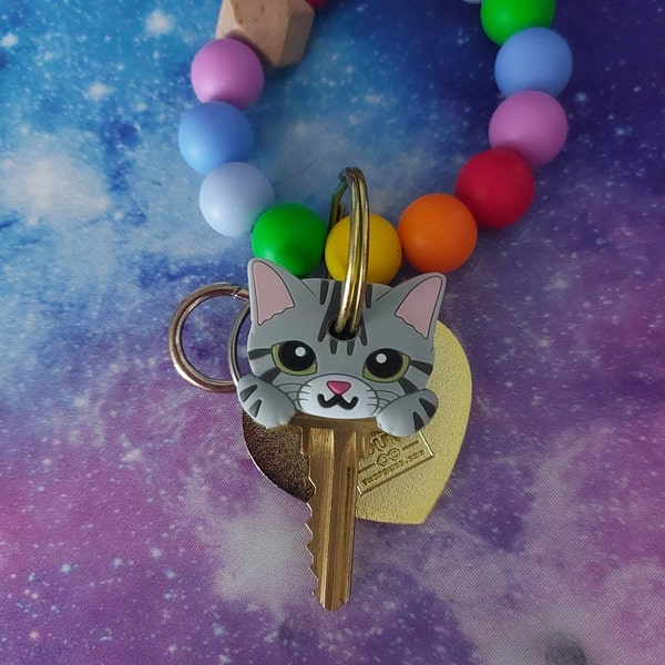 Cat Key Cover/ Key Identifier - Etsy