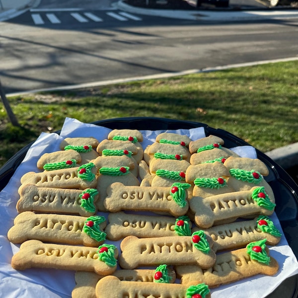 Megaphone With Pom Pom, Personalized Cookie, Cheerleader Speaker, Cheer ...