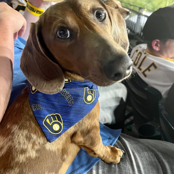 Over the Collar Reversible Dog Bandana - Wisconsin Badgers, Milwaukee ...